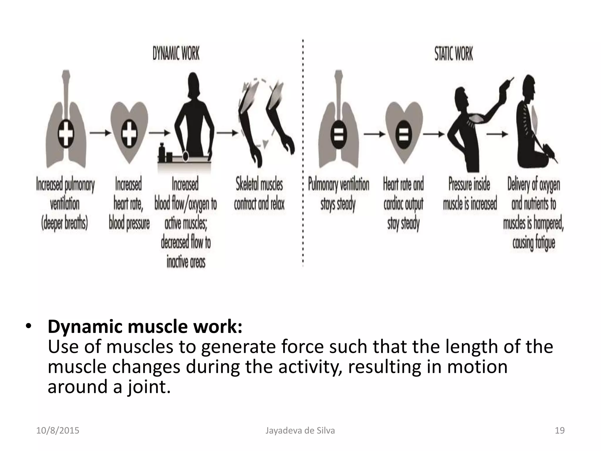 Ergonomics terms explained | PPTX | Death, Injury, or Military Conflict ...