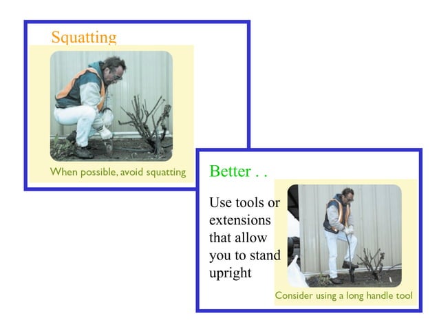 Ergonomics training | PPT | Computer Peripherals | Computing