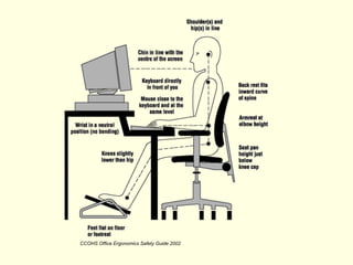 Ergonomics Training lifting advices for good low back posture | PPT