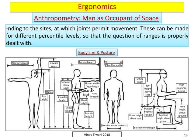 Ergonomics or Human Factors Engineering | PDF | Science