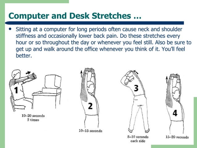 Ergonomic tips for computer users | PPS | Physical Therapy | Wellness