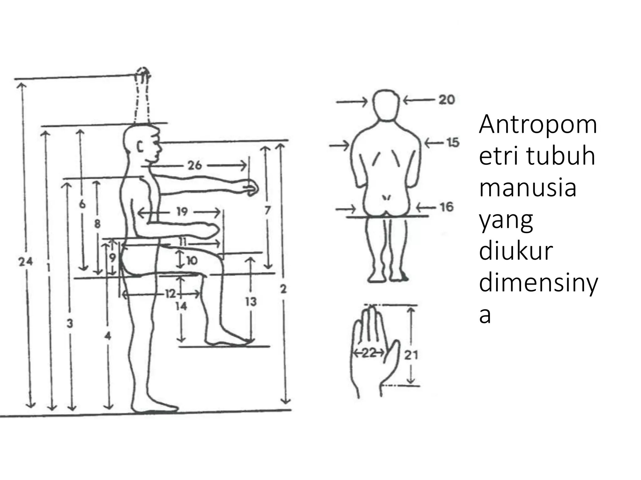 ERGONOMI dan ANTROPOMETRI.pptx