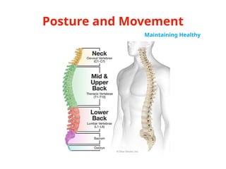 Ergonomic in School. Child and Teacher.. | PPTX