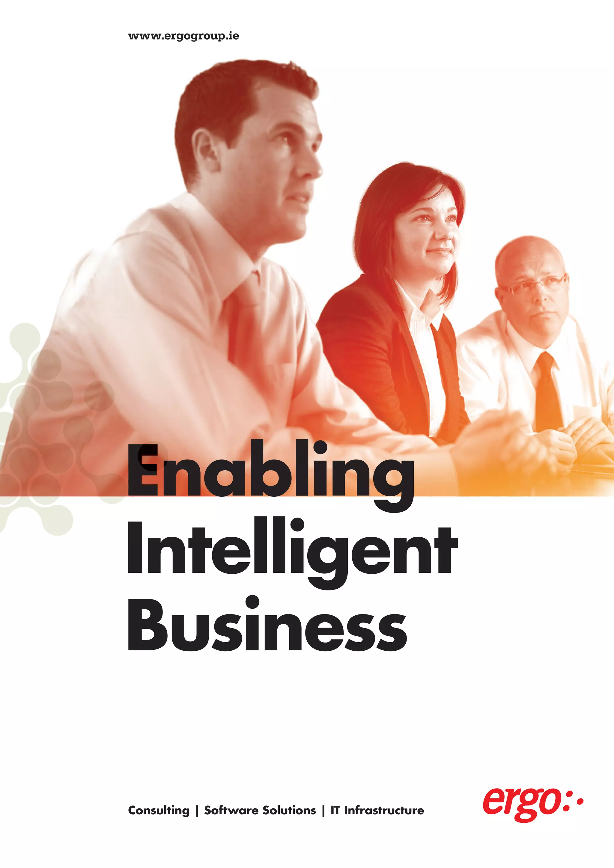 Ergo Overview Brochure | PDF