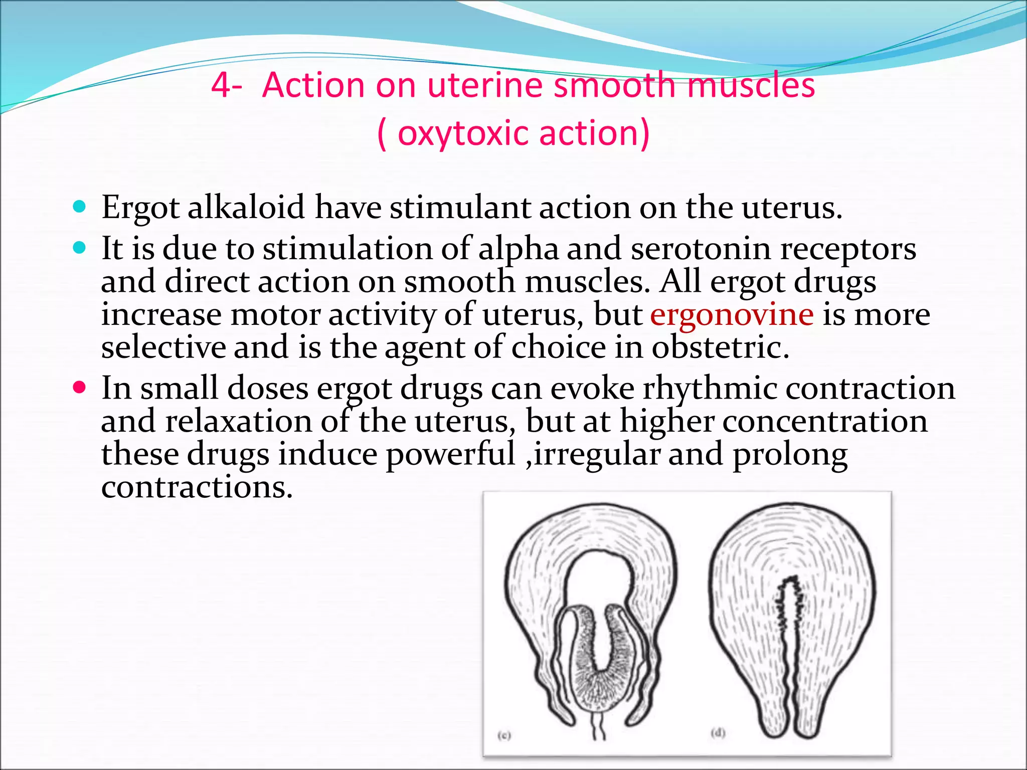 ERGOT ALKALOID.ppt
