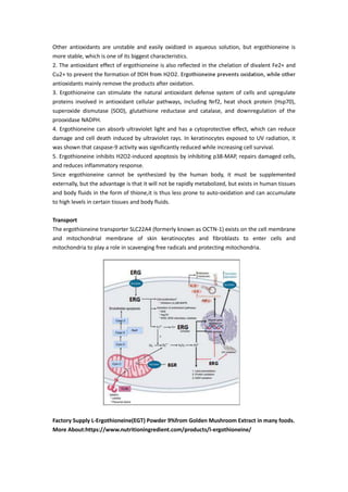 Ergothioneine- High Purity Stable, Safe and Effective Natural ...