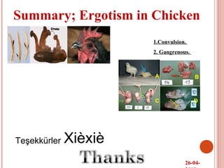 Ergotism | PPT