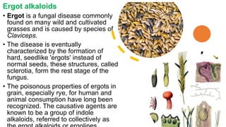 Ergot_Slide Share.pptx