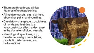 Ergot_Slide Share.pptx