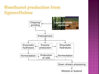 Bioethanol and its Production | PPTX