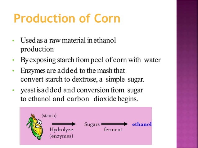 Bioethanol and its Production | PPTX | Agriculture | Industries