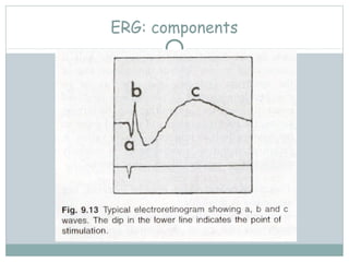Electrodiadnostic tests ERG and VEP | PPT