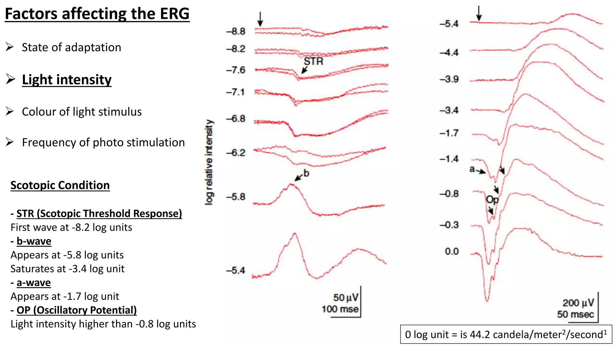 Electroretinogram and Clinical Applications | PPTX | Eye and Vision ...