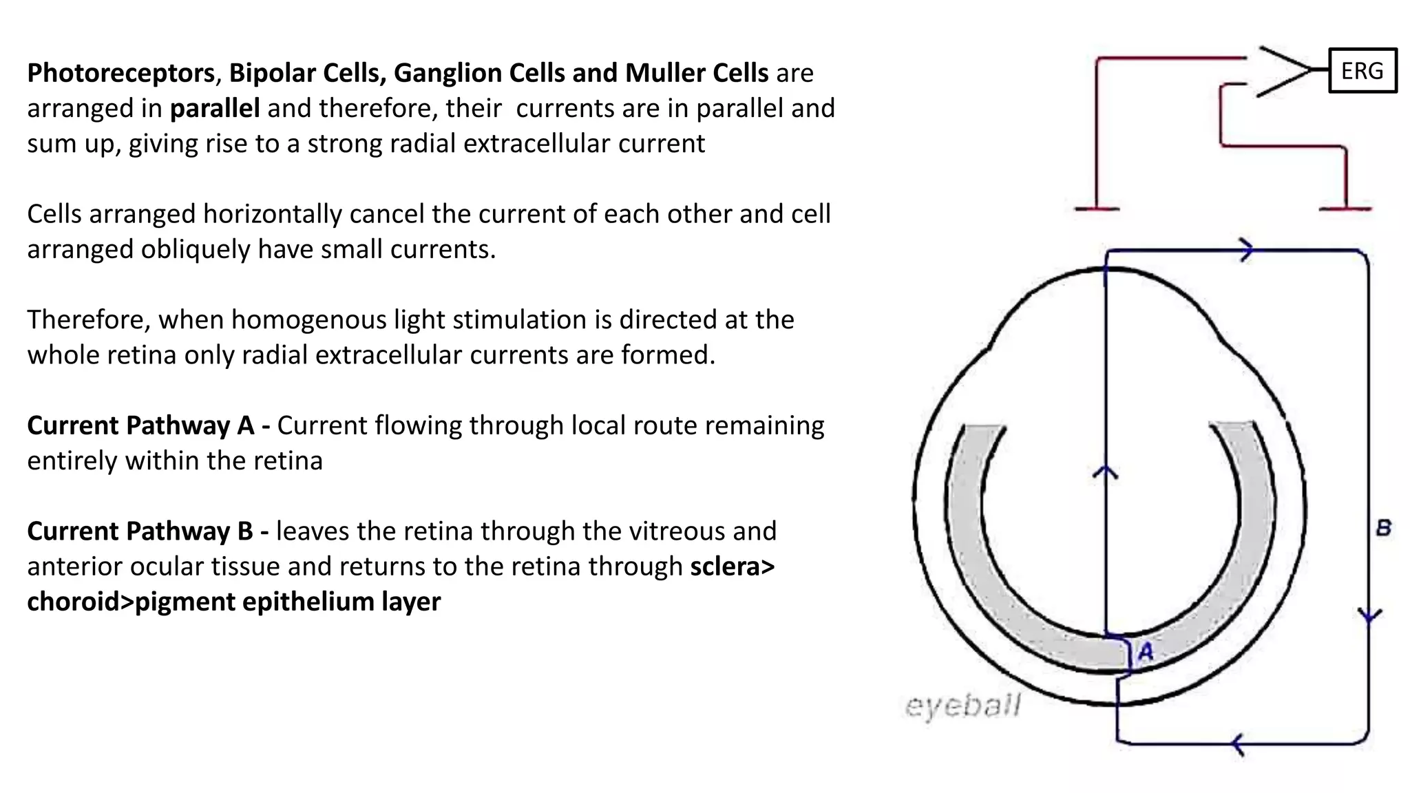 Electroretinogram and Clinical Applications | PPTX