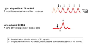 Electroretinogram and Clinical Applications | PPTX