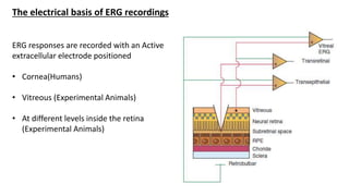Electroretinogram and Clinical Applications | PPTX