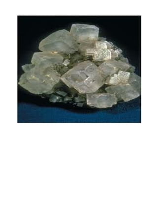 Erhembayr bagsh | ODT