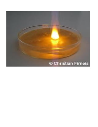 Erhembayr bagsh | ODT