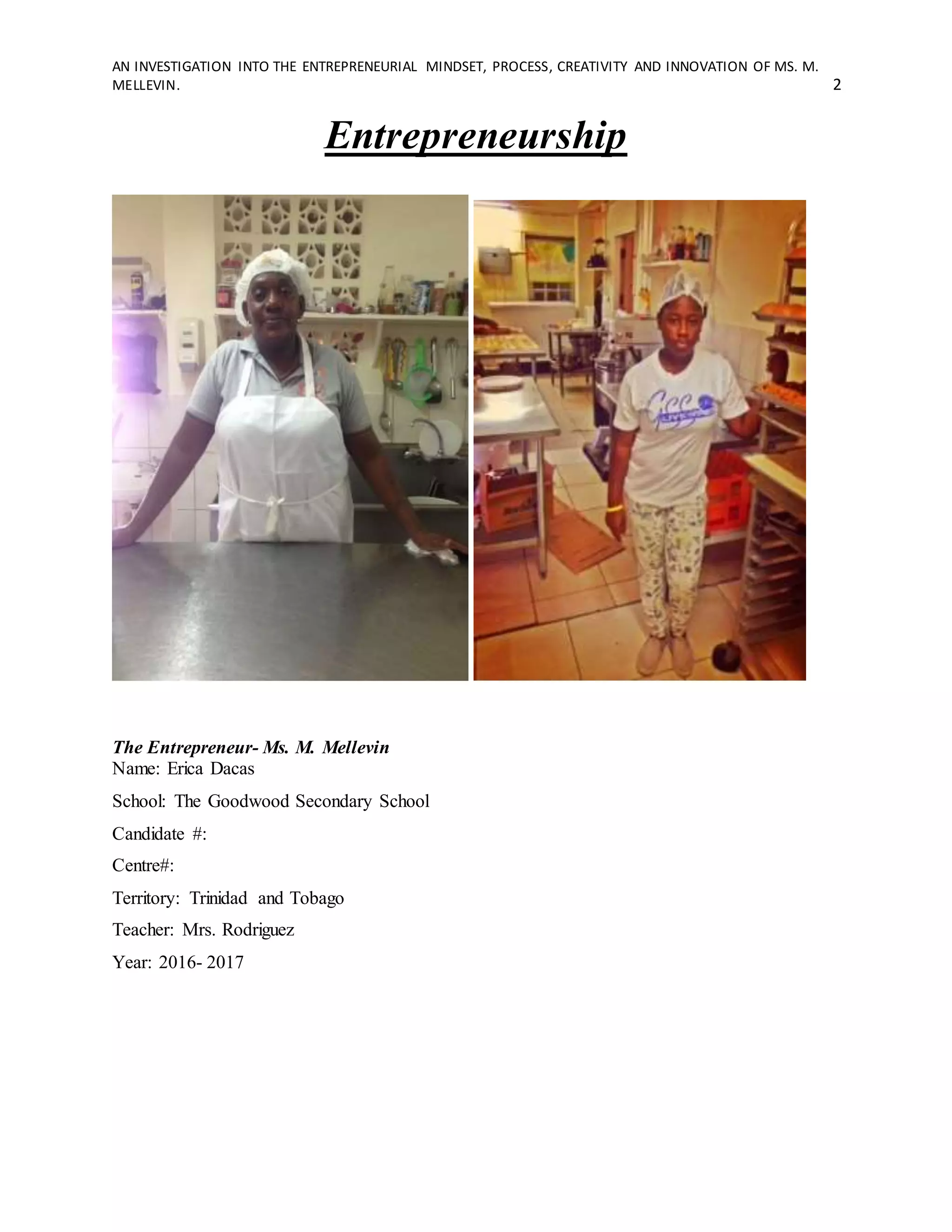 Erica 's Entrepreneurship Unit 1 SBA | DOCX