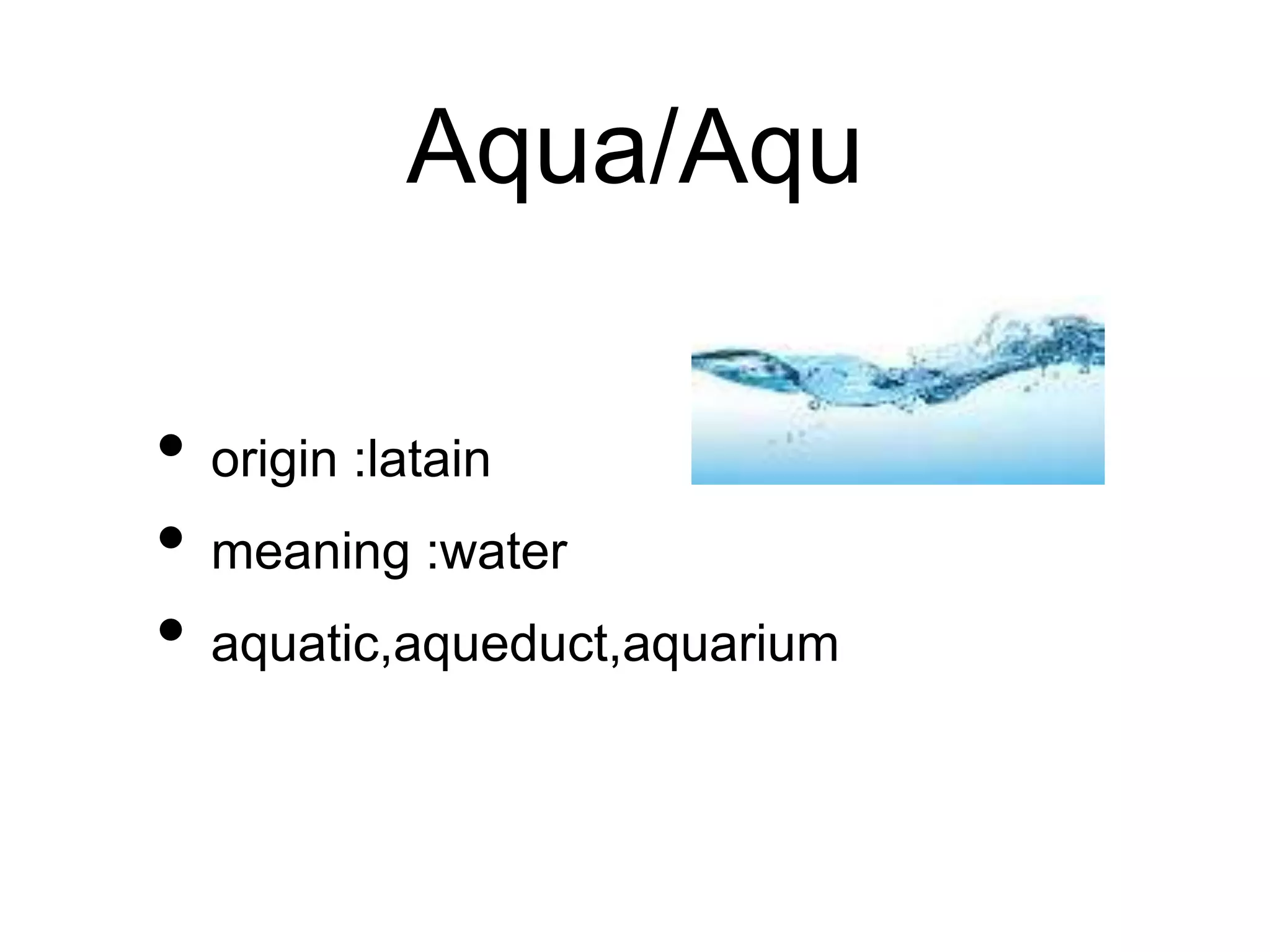 Eric's Root Words | PPTX