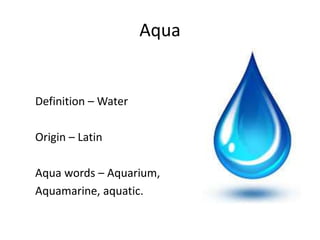 Eric and Mustafa's root words | PPTX