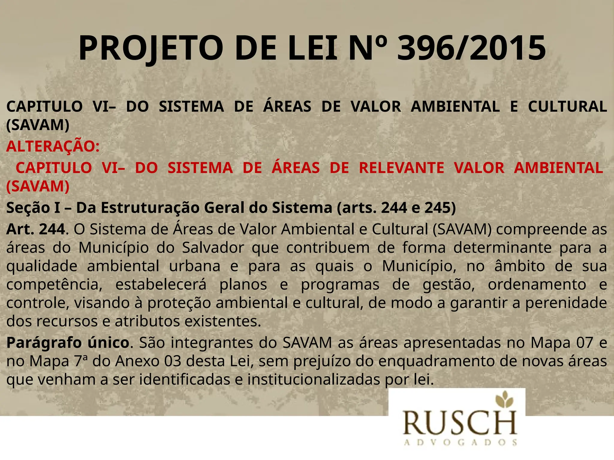 slides cidade de salvador bahia erica.pptx