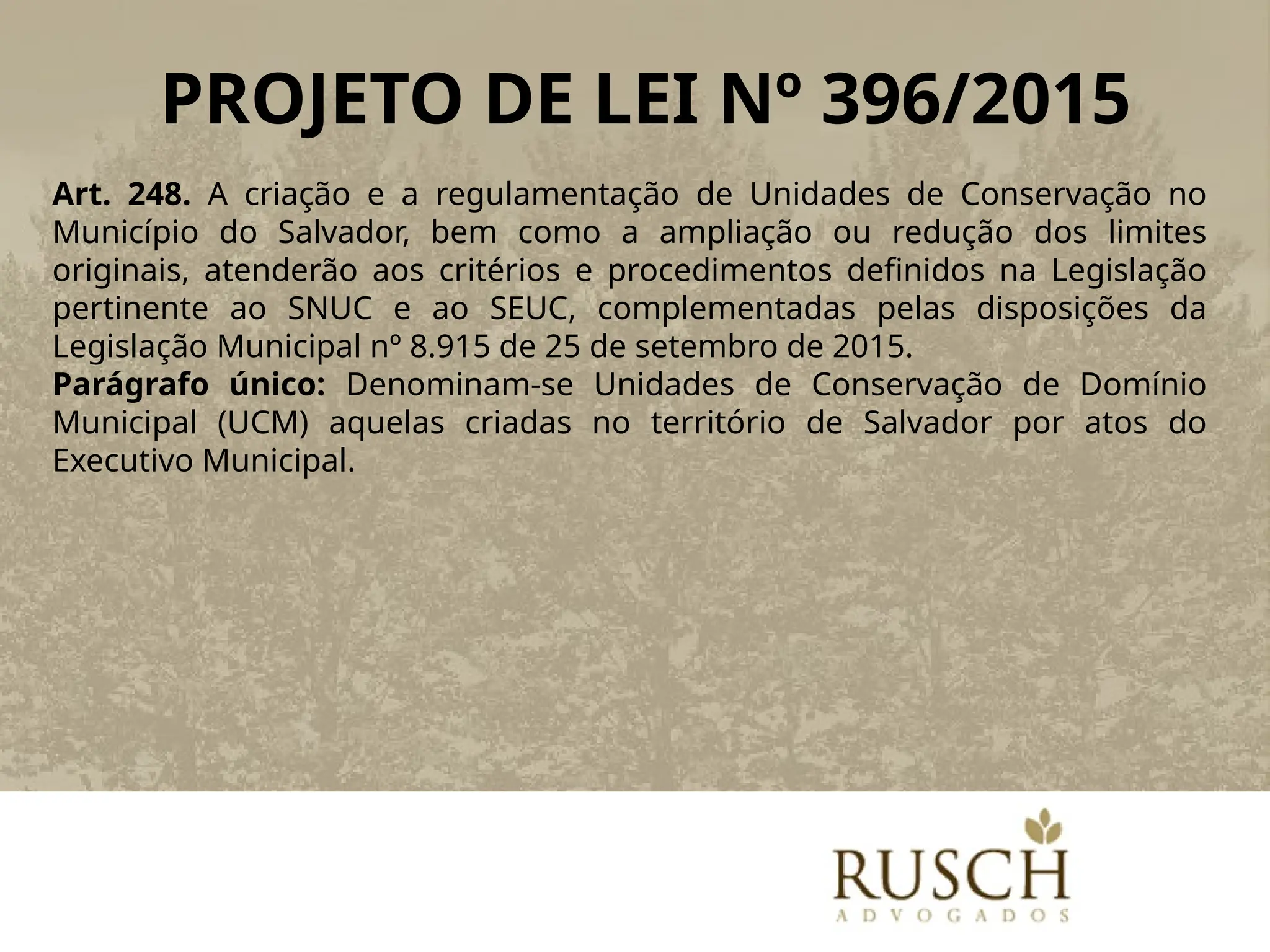 slides cidade de salvador bahia erica.pptx