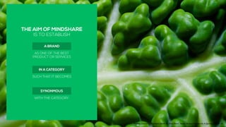 Mindshare: Building Thought Leadership & Community | PDF