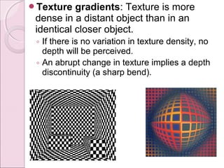 Texture Gradient Perception