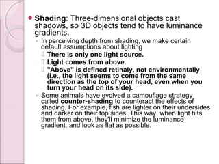 Light And Shadow Perception Psychology