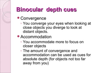 Binocular Cues Psychology