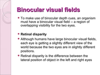 Depth Perception Psychology
