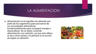 La alimentacion | PPTX