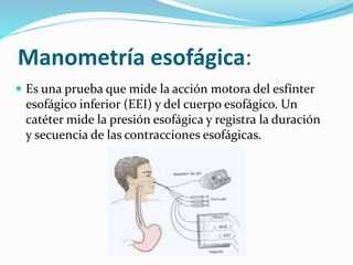 GLOSARIO SISTEMA DIGESTIVO | PPTX