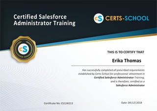 Salesforce Administrator | PDF