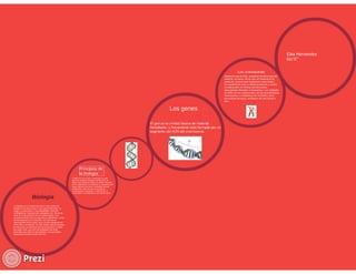 Erika hernandez prezi | PPT