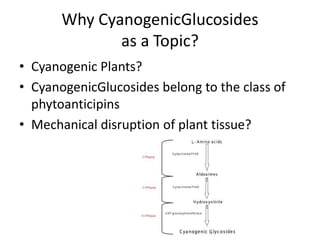 Erika plant biotech presentation | PPT