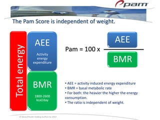 13 years of lessons learned - Erik Damen - PAM activity monitor ...