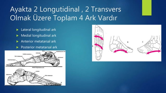 Eri̇şki̇n edi̇ni̇lmi̇ş düz taban deformi̇tesi̇ | PPT