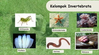 Eriko Rohman Kurniawan Vertebrata dan Invertebrata | PPT