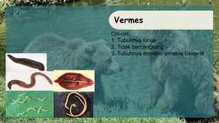 Eriko Rohman Kurniawan Vertebrata dan Invertebrata | PPTX