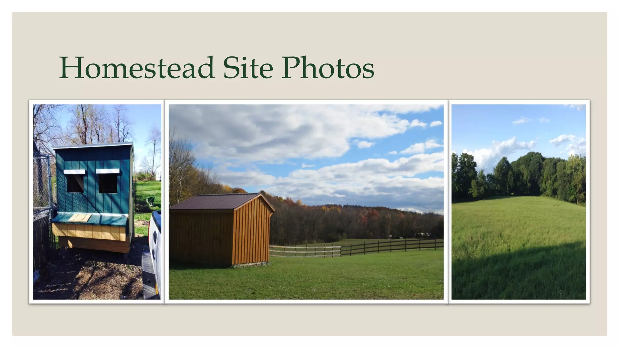 Erin Forbes, Homesteading - Week 1 | PPT