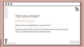 Erin _ Project Proposal · SlidesMania.pptx | Desktop Publishing | Computer Software and Applications