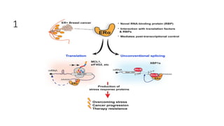 ERα is an RNA-binding protein sustaining tumor cell.pptx