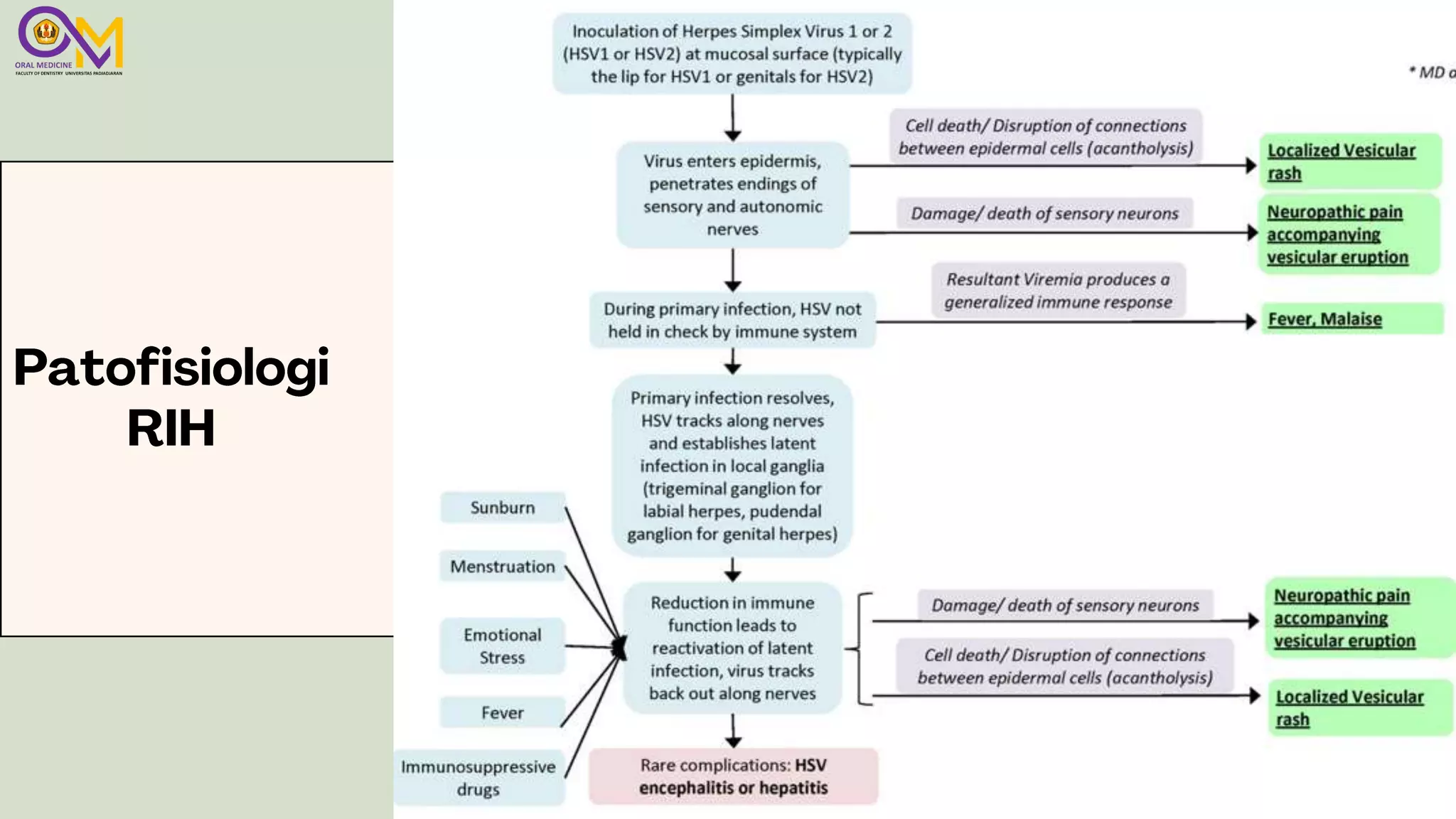 Eris Nurul Rahmadhini - 160721220004 - Recurrent Intraoral Herpes ...
