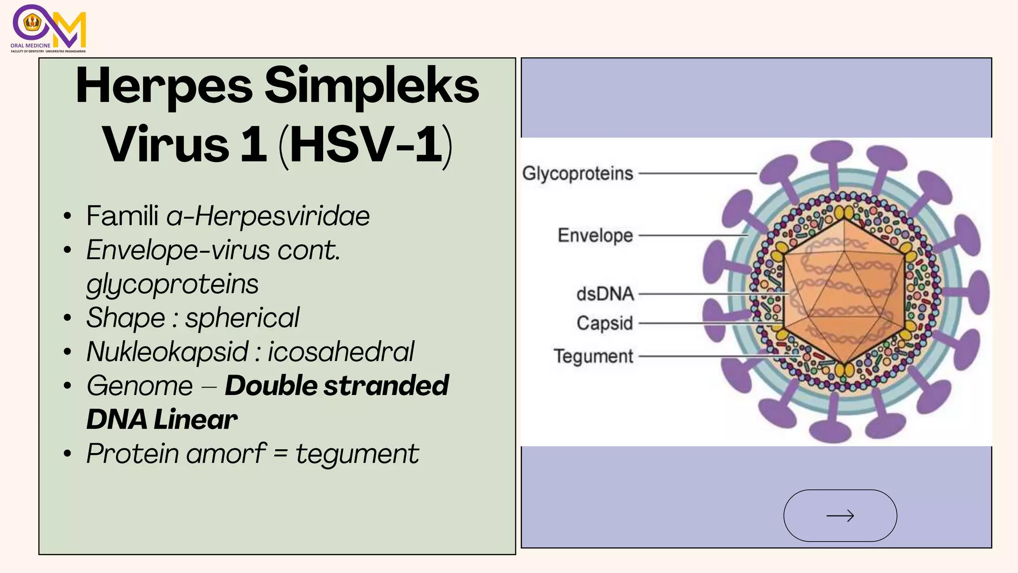 Eris Nurul Rahmadhini - 160721220004 - Recurrent Intraoral Herpes ...