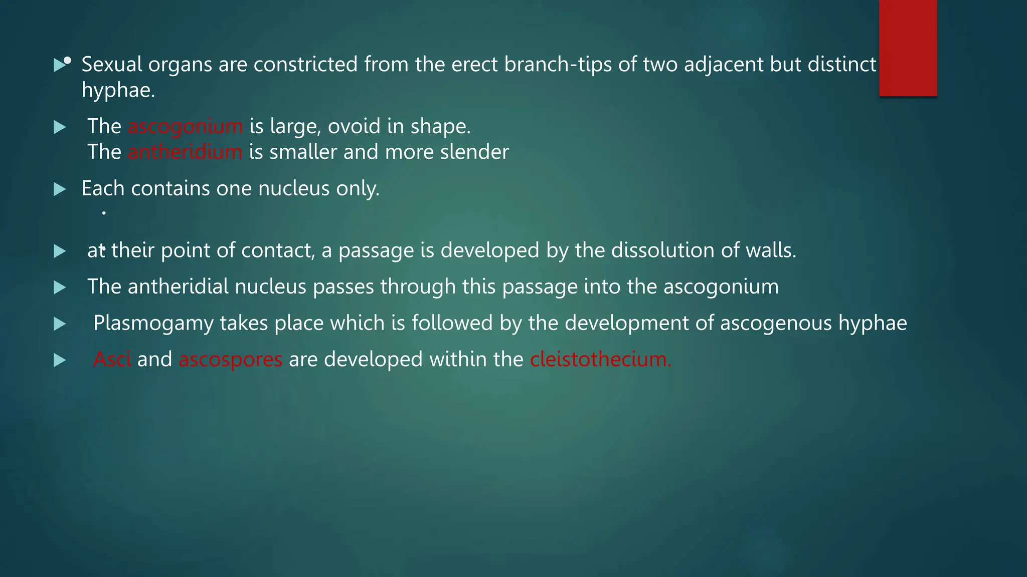 Erysiphe structure,reproduction and life cycle | PPTX