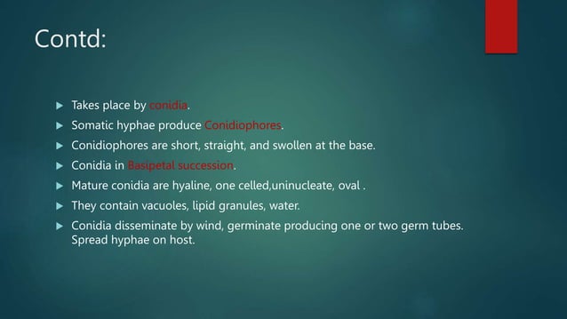 Erysiphe structure,reproduction and life cycle | PPTX | Biological ...