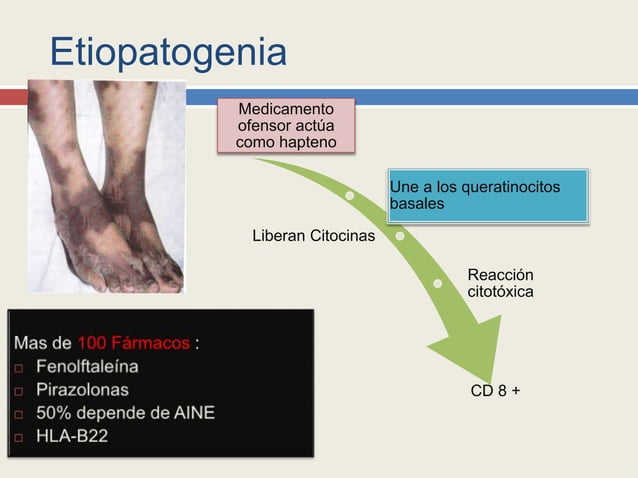 Eritema pigmentado fijo y eritema morbiliforme | PPTX