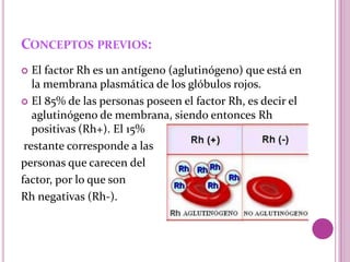 Eritroblastosis fetal | PPTX